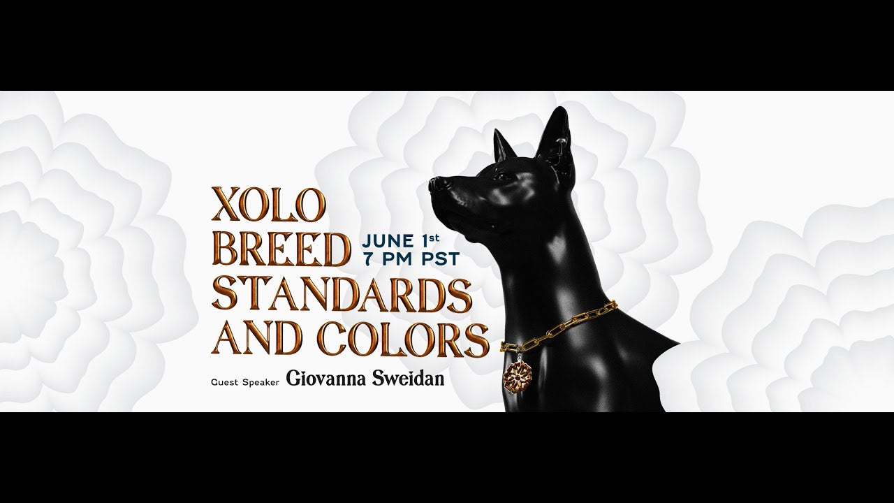 Xolo 101 – XoloSupplyco